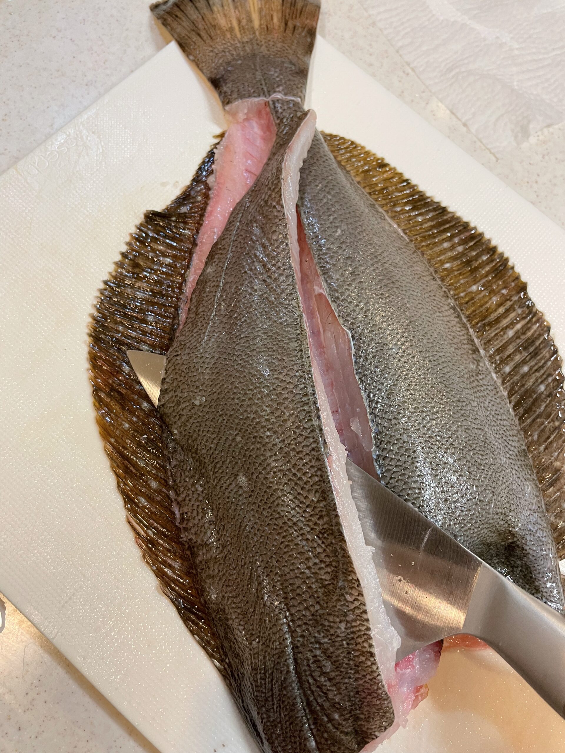 emimaruの【5枚おろし】 ヒラメ&カレイのさばき方🔪🐟 | FUNC(ファンク) - 釣りガール&女性アングラーのための釣りコミュニティ