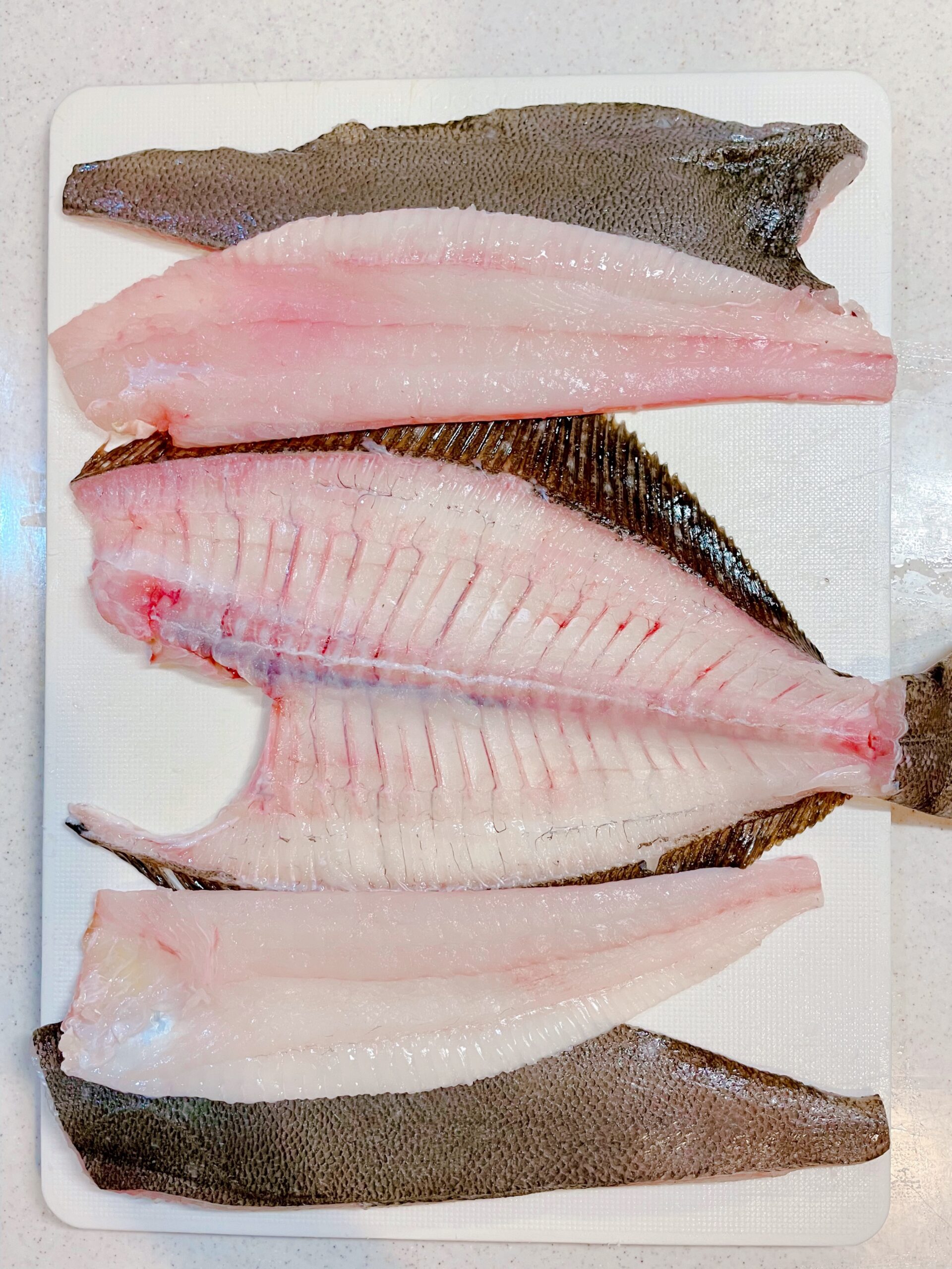 emimaruの【5枚おろし】 ヒラメ&カレイのさばき方🔪🐟 | FUNC(ファンク) - 釣りガール&女性アングラーのための釣りコミュニティ