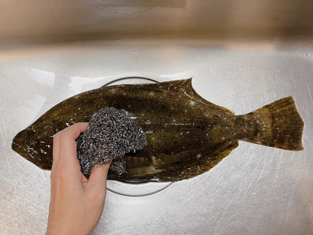 emimaruの【5枚おろし】 ヒラメ&カレイのさばき方🔪🐟 | FUNC(ファンク) - 釣りガール&女性アングラーのための釣りコミュニティ