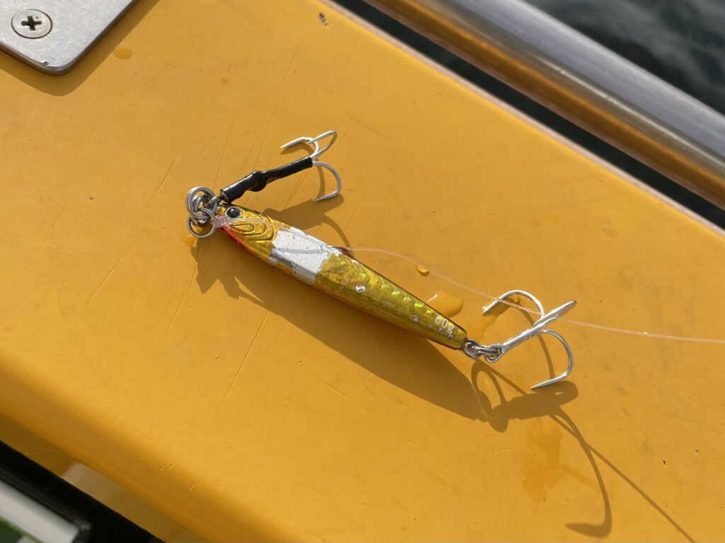 emimaru🐉タチウオ2023釣り納め&食べ納め🎣 | FUNC(ファンク) - 釣りガール&女性アングラーのための釣りコミュニティ