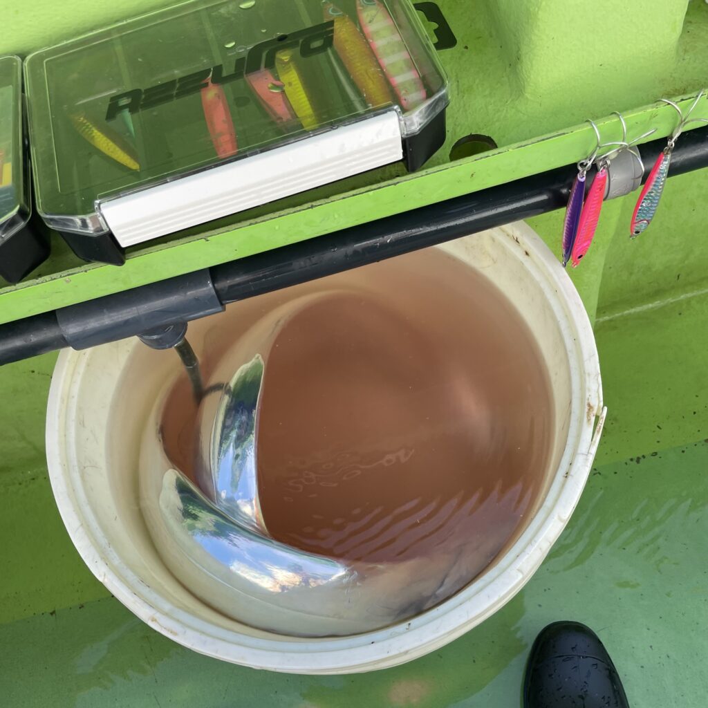 emimaru🐉タチウオ2023釣り納め&食べ納め🎣 | FUNC(ファンク) - 釣りガール&女性アングラーのための釣りコミュニティ