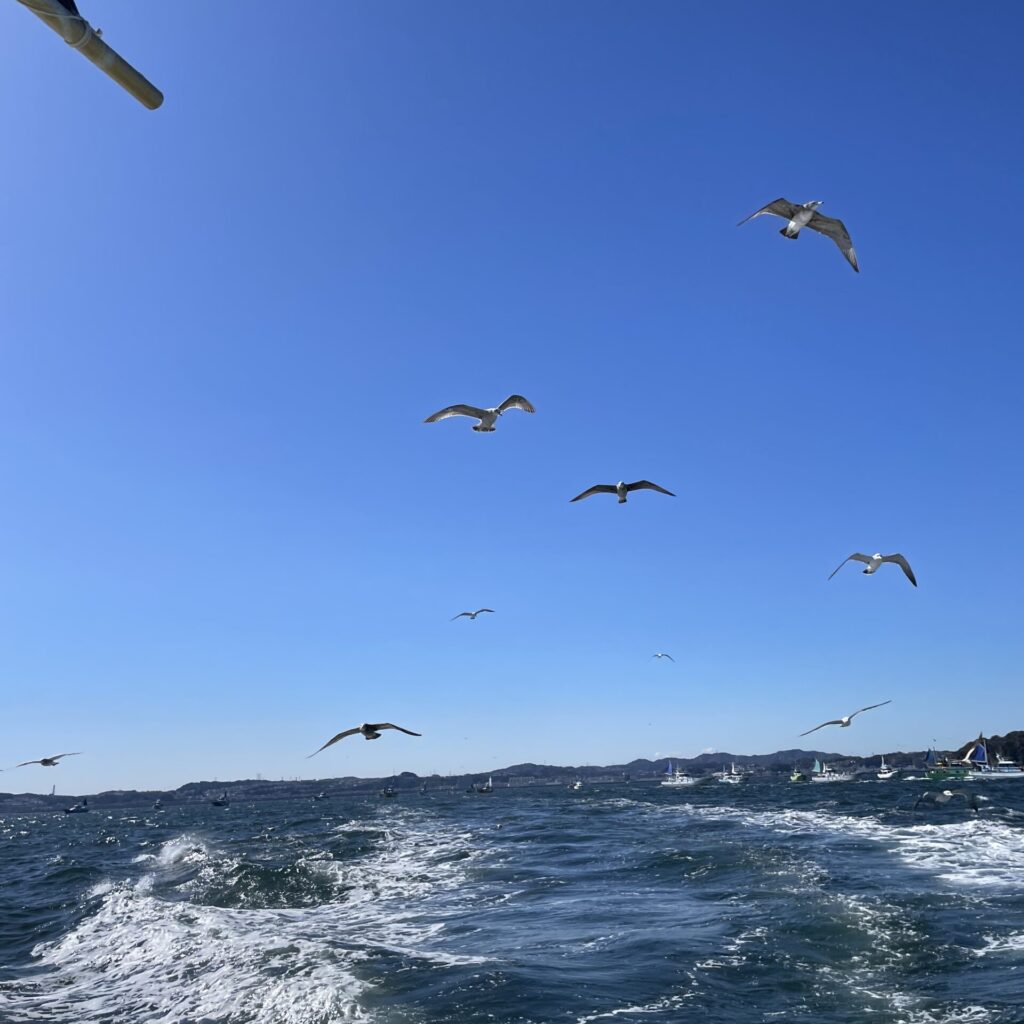 春の気配の3月🌸emimaru冬タチ釣り納め🐉 | FUNC(ファンク) - 釣りガール&女性アングラーのための釣りコミュニティ